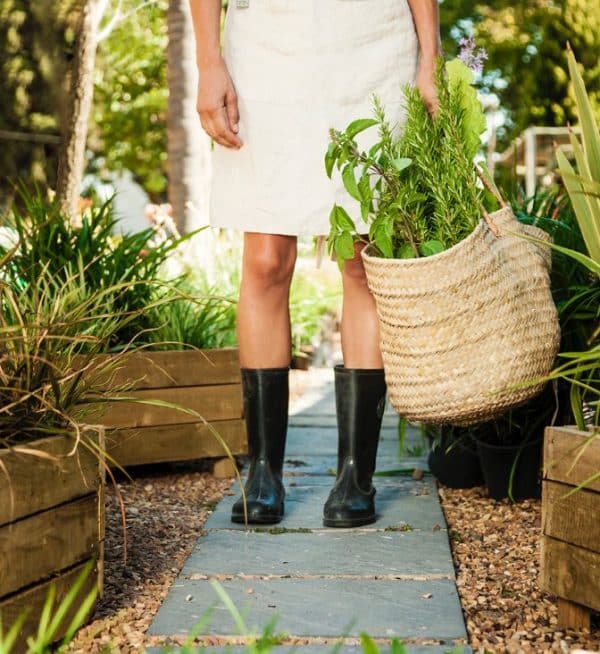 Stodels - Your Go-To Garden Shop for Plants & Accessories