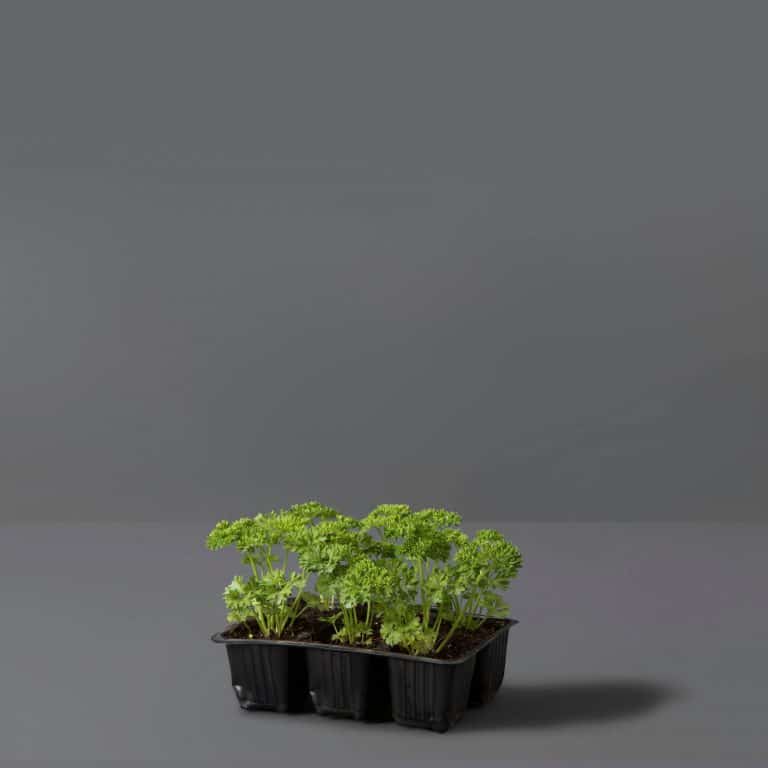 Potting Soil 30dm | Stodels Online Store