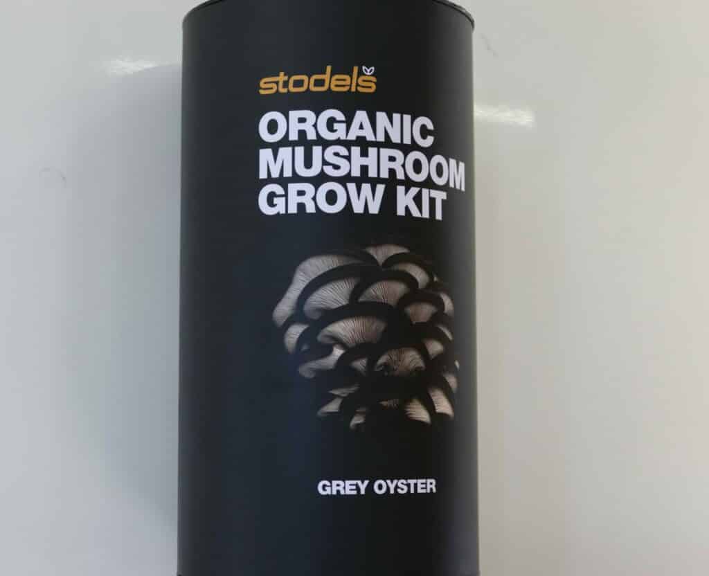 STODELS MUSHROOM GROW KIT GREY OYSTER - Stodels