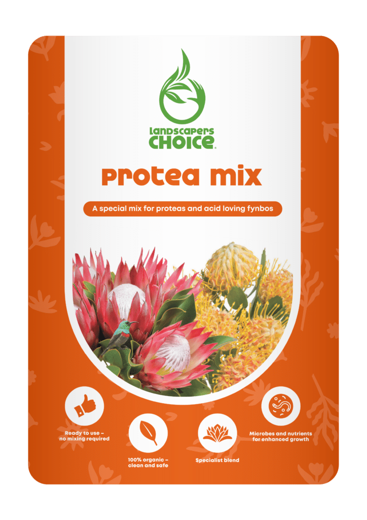 LANDSCAPERS SUCCULENT MIX 15DM - Stodels